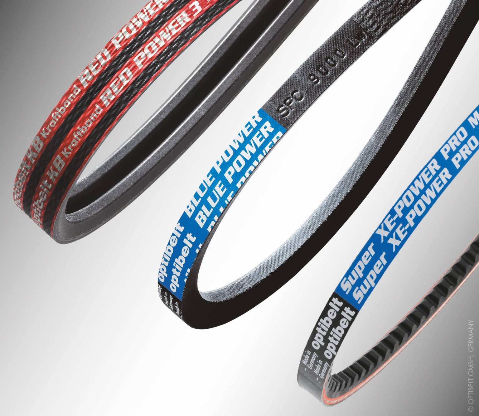 Transfer for drive belts - Transfer Gomma